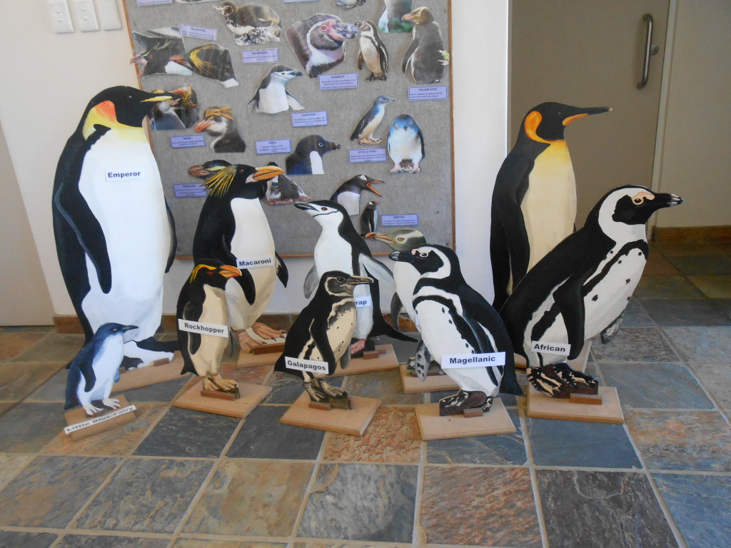 SANCCOB PORT ELIZABETH (PREVIOUSLY KNOWN AS SAMREC) - TRAVELBUCKET