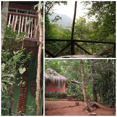 THE CHIMPS OF TACUGAMA - TRAVELBUCKET