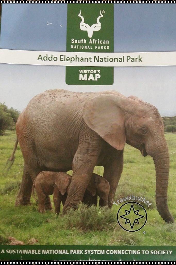 CROSSING THE BORDER (PART I) - PLANNING | TRAVELBUCKET