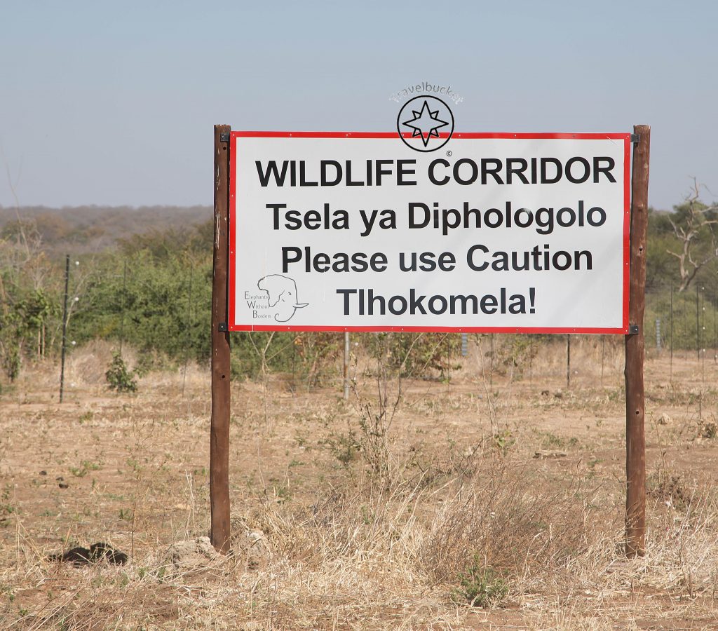 CROSSING THE BORDER (PART III) - ARRIVING AT THE BORDER - TRAVELBUCKET