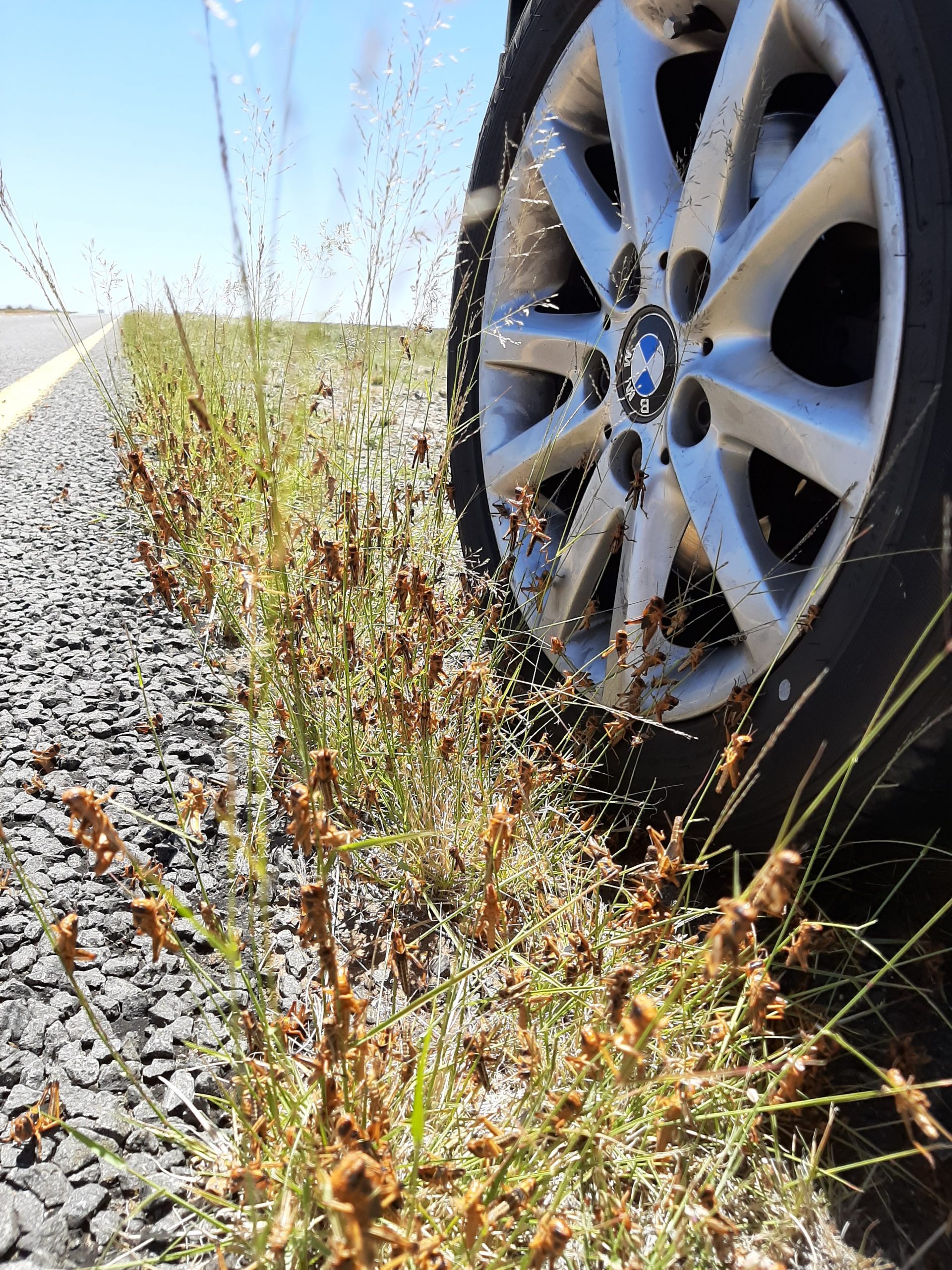 BRITSTOWN AND BEYOND - TRAVELBUCKET